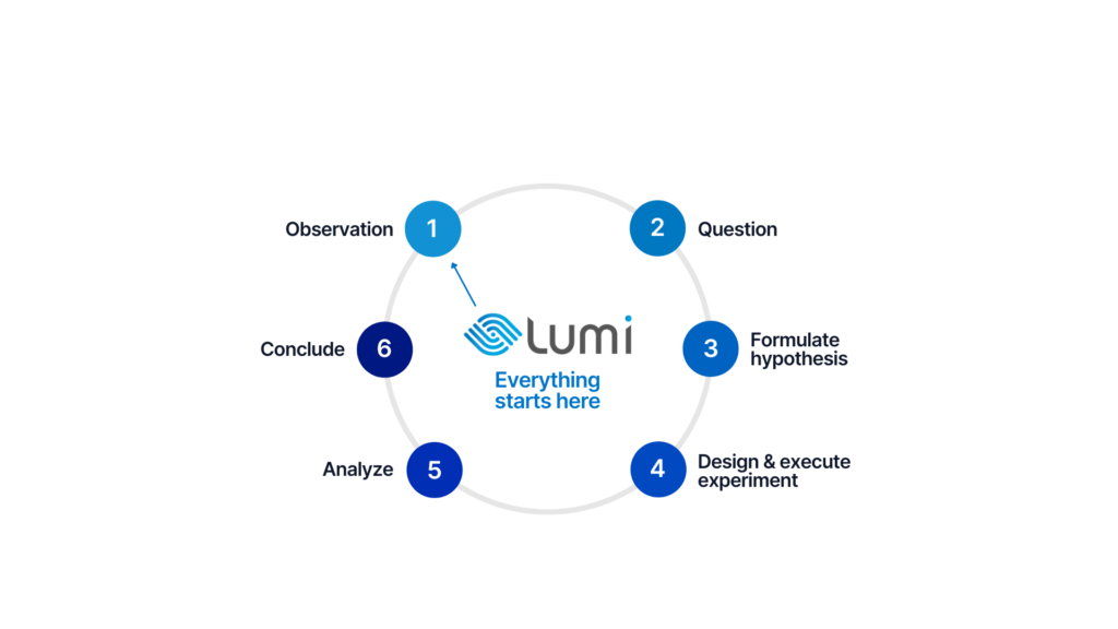 Meet Lumi – Lumi Systems